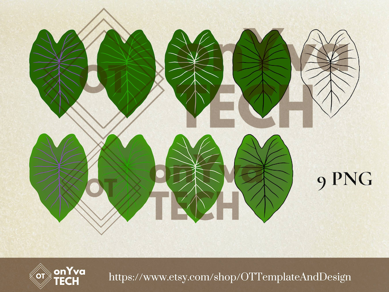 Kalo Leaf SVG Cut File, PNG Files, Digital Instant Download - Etsy