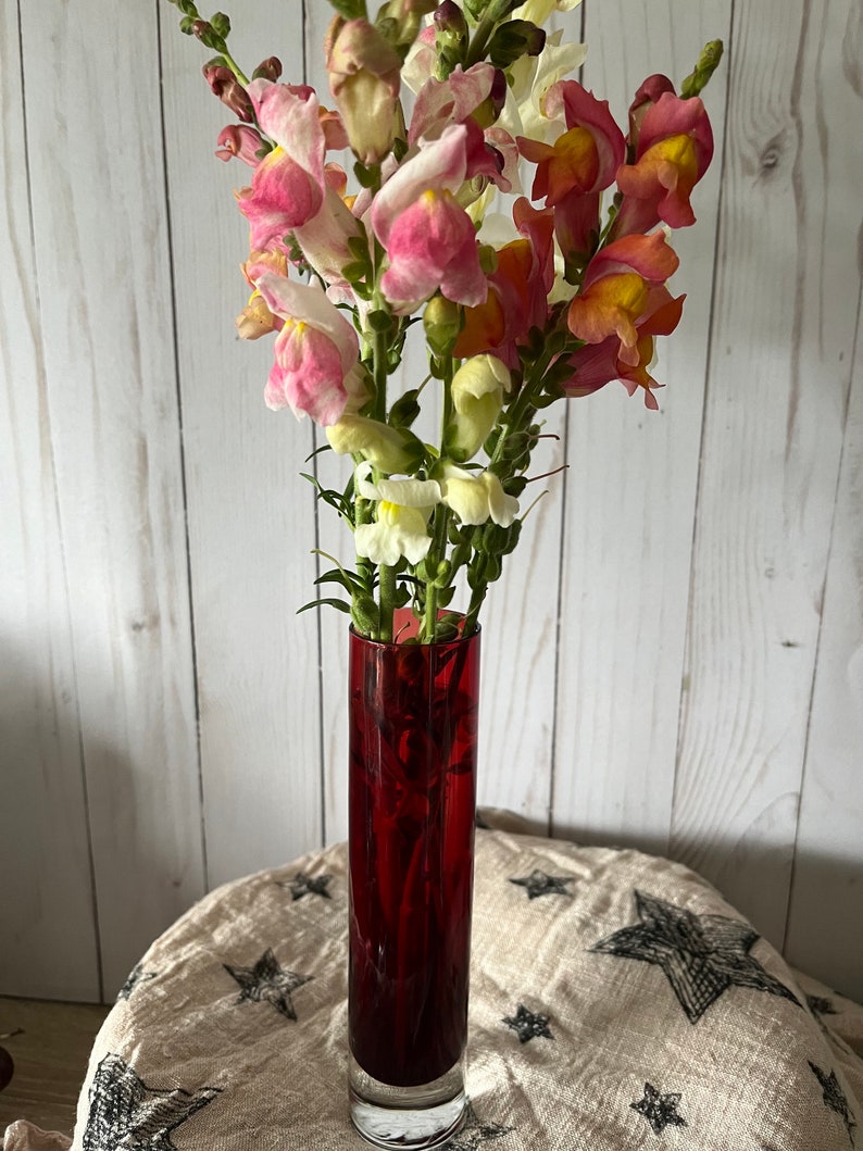 Vintage Tall Ruby Red Vase - Etsy