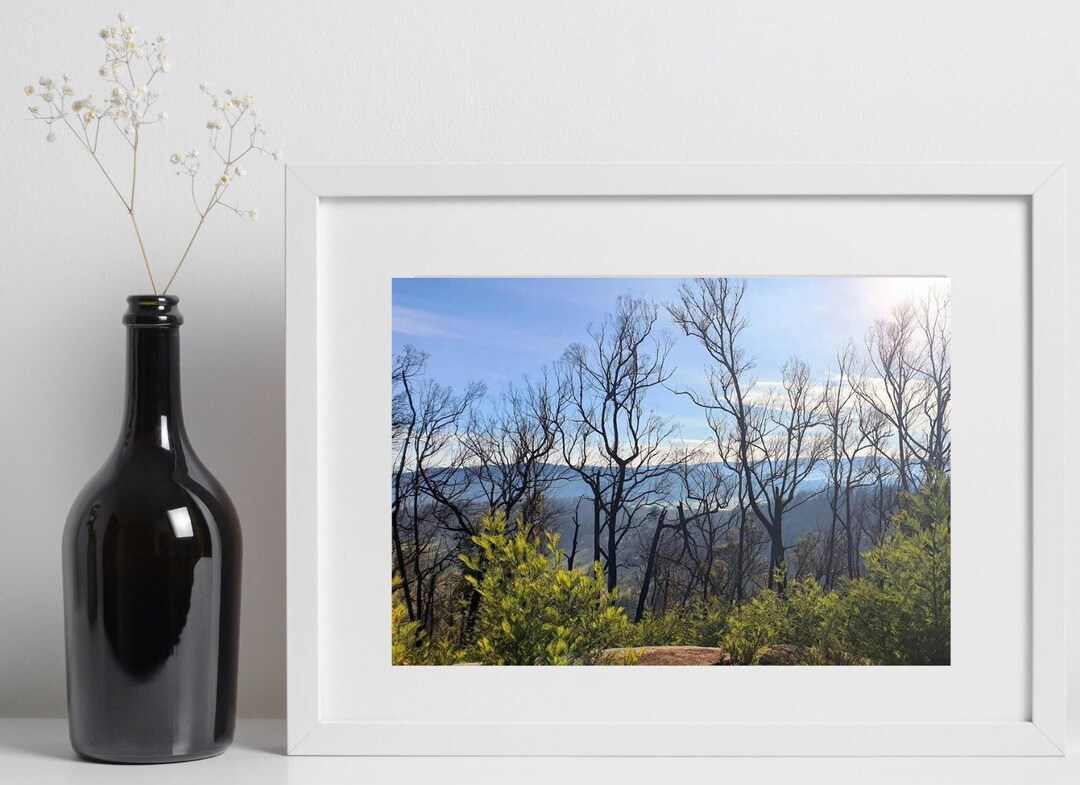 Mt Cannibal Bushfire Regrowth Mountain View Photography | Australian ...