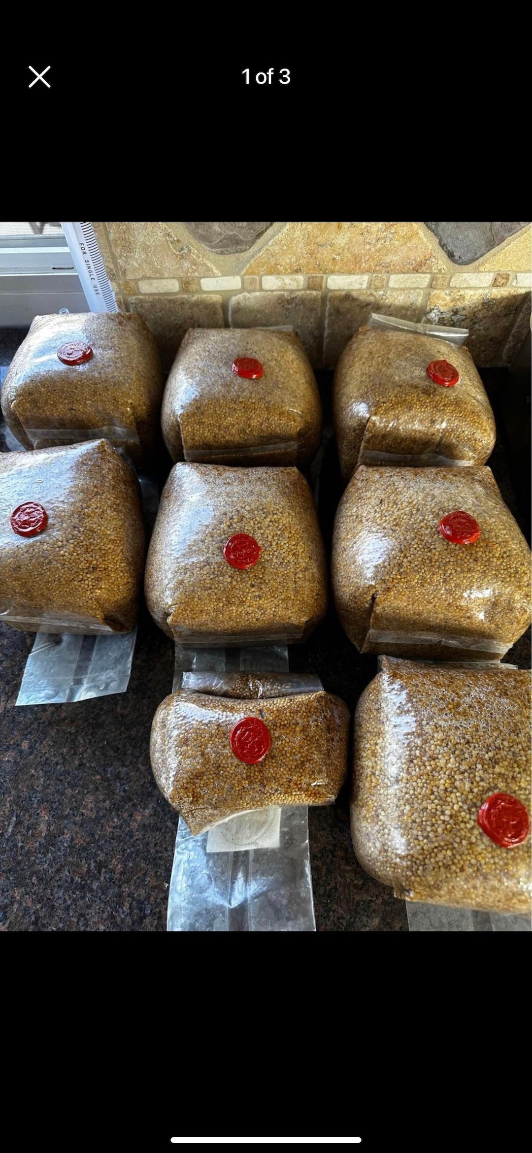 3 Lb- Bags Grain Spawn Bag,fast SHIPPING! Millet,custom Injection Port ...