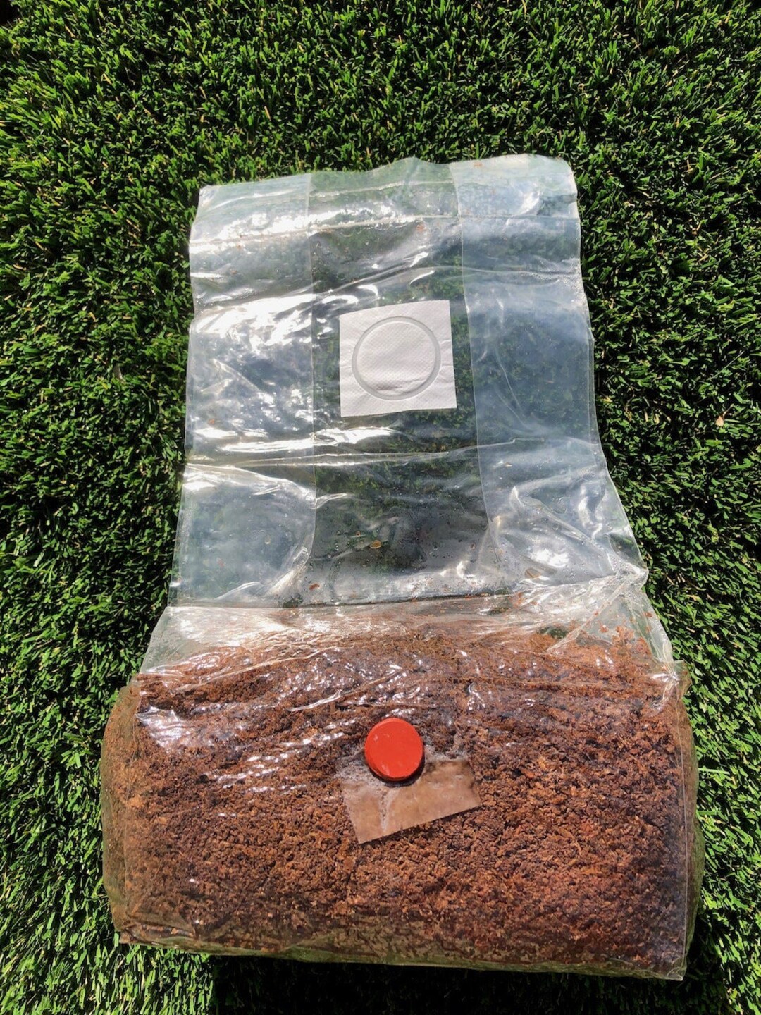 Wood Lovers Gourmet. 5lb Substrate Block With Vermiculite and - Etsy