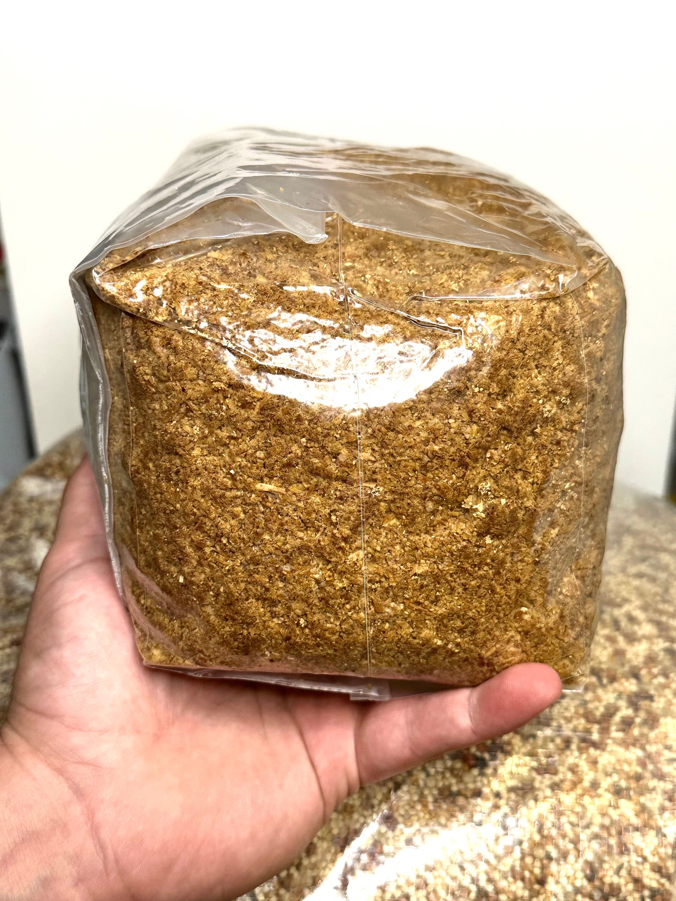 Wood Lovers Gourmet 5lb Substrate Block, 5lb All-in-one Mushroom Grow ...