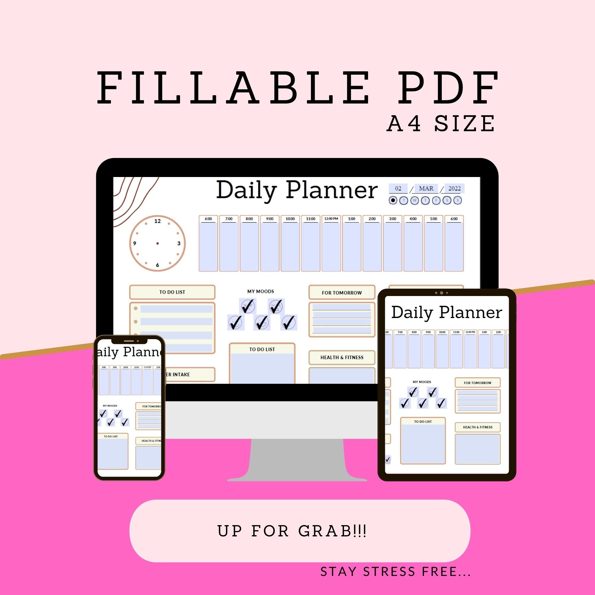 Daily Productivity Planner | Executive Daily Planner for Dateless Daily ...