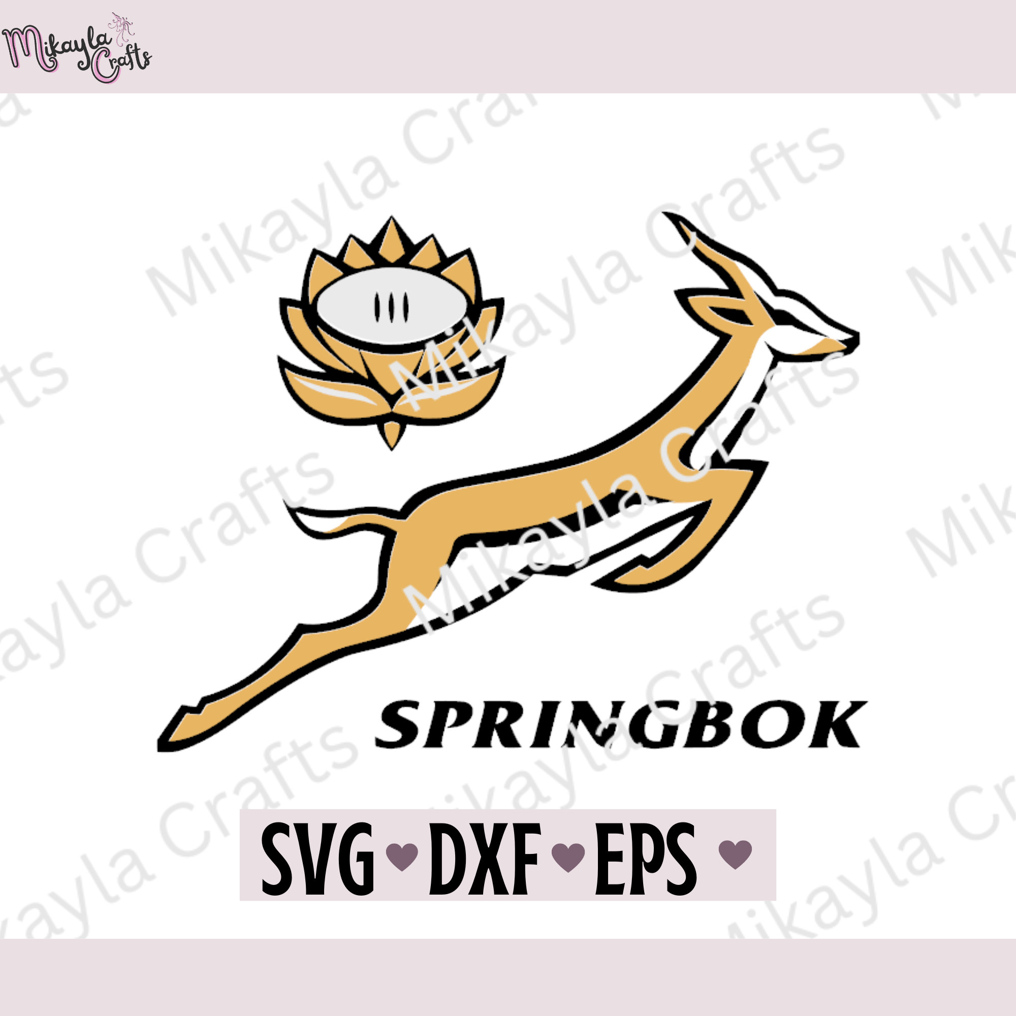 Springbok Rugby Logo Springboks, Rugby, South African, HD Wallpaper