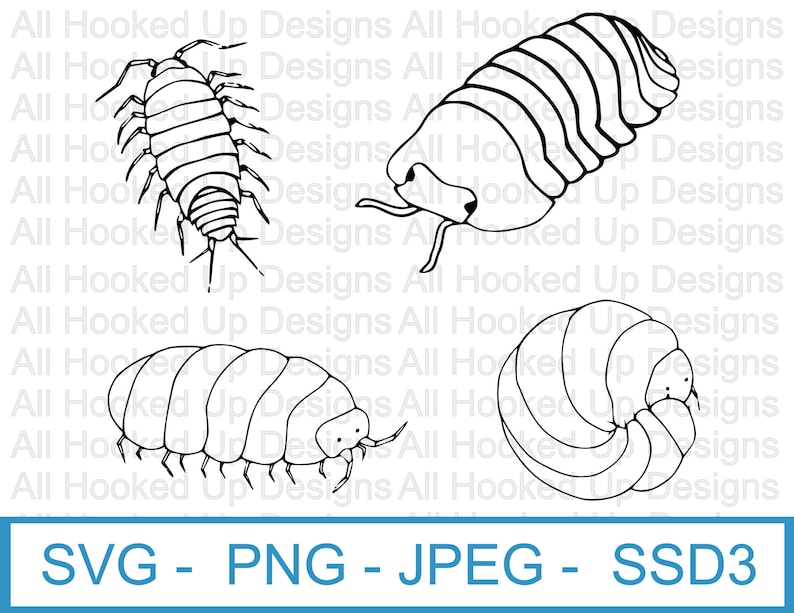 Isopod SVG I Isopod PNG I Isopod Clipart I Isopod Digital File | Etsy ...