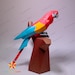 DIY Papercraft Parrot, Macaw PDF, SVG Template, 3D Macaw Paper Craft ...