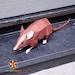 Papercraft Rat PDF, SVG Template for Cricut Project - DIY Rat Paper ...