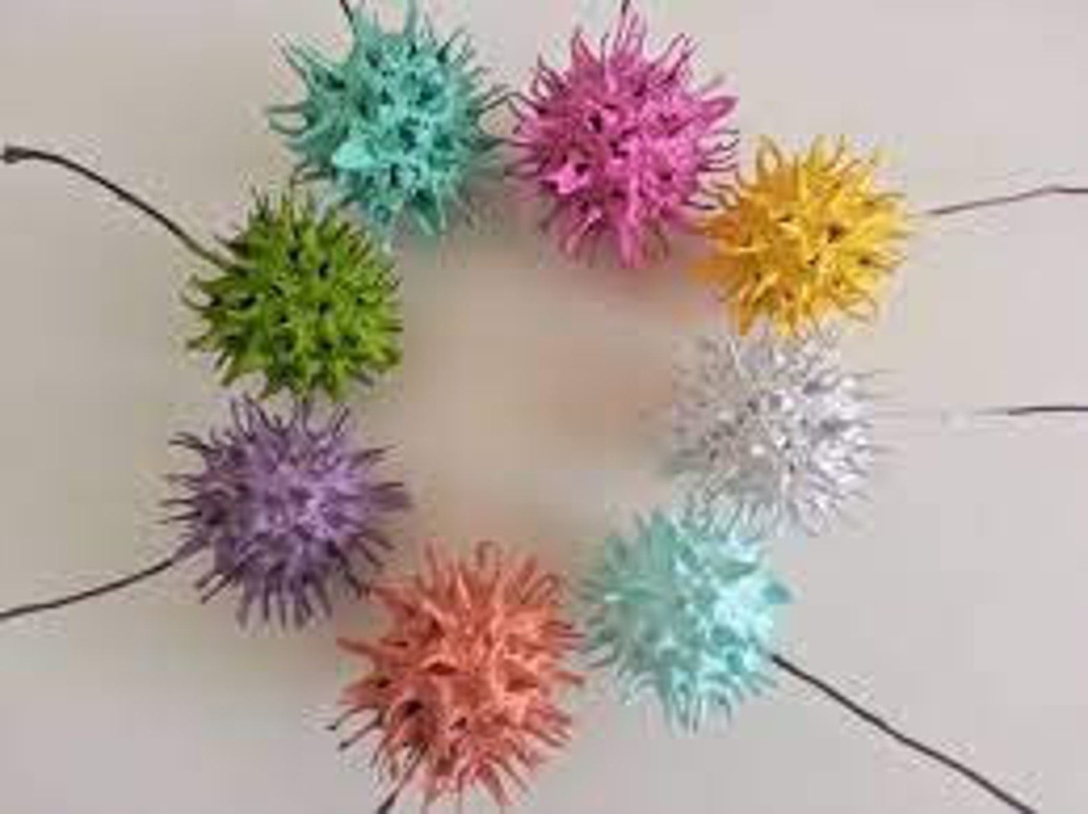 Versatile Natural Sweet Gum Balls: Rustic Fall, Winter, Wedding & Craft ...