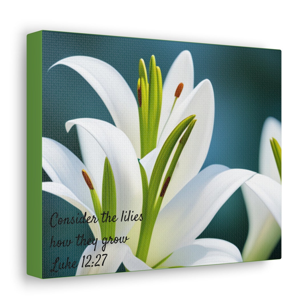 Lily of Faith: Consider the Lilies How They Grow, Scripture-inspired 10 ...
