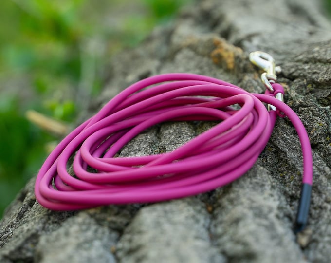 Rope Biothane Long Line Leash | Drag Line | Training Leash | Long Lead ...