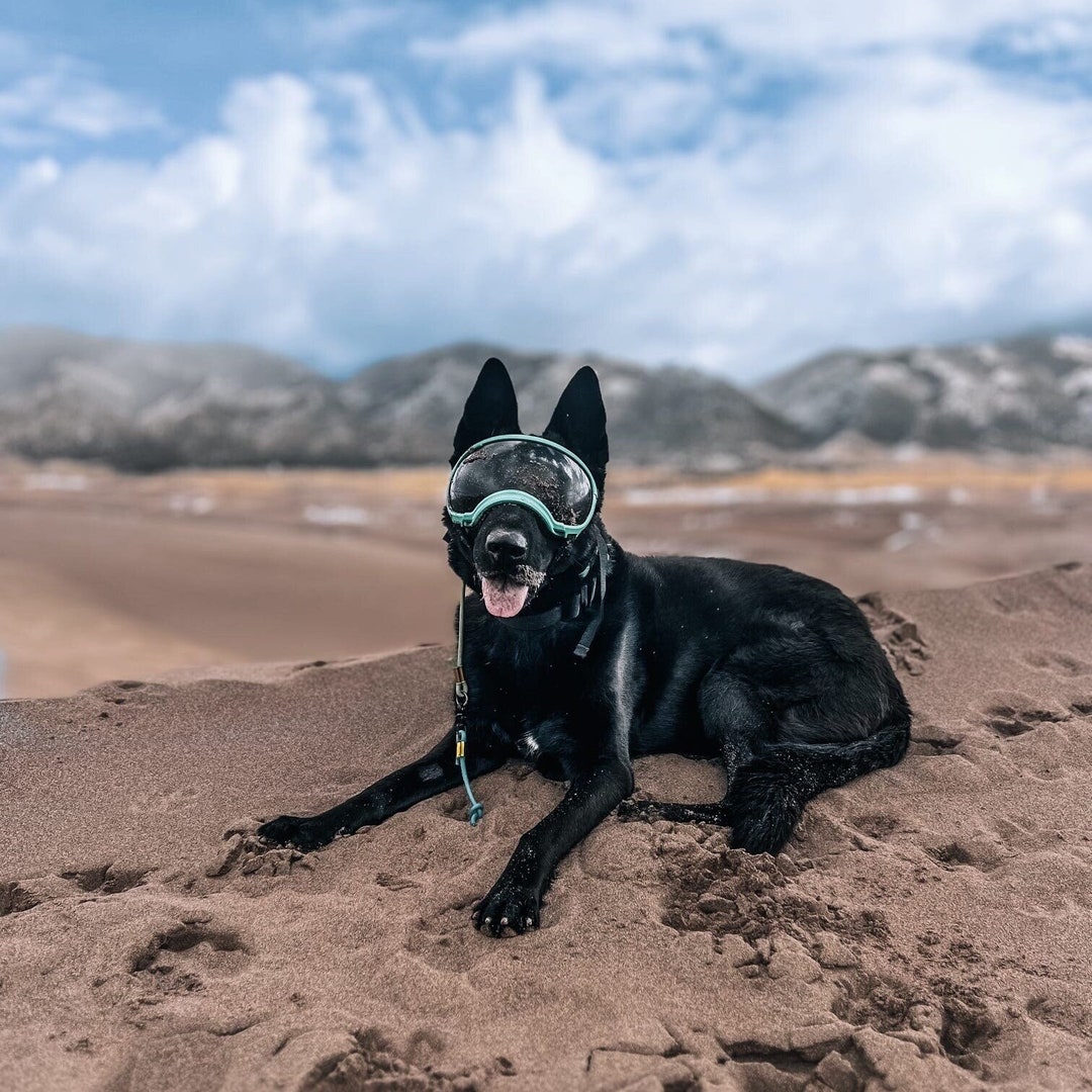 Knotted Biothane Rope Grab Tab | Hiking | Dog Sports | Agility | Off ...