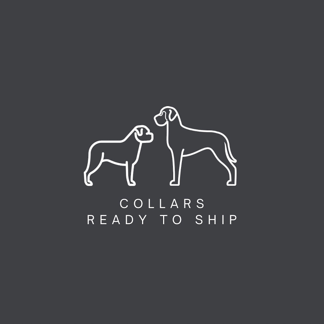 Collars & Tabs - Ready to Ship | Pre-made Biothane Collars and Grab ...