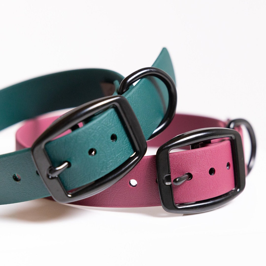 Classic 1 Dog Collar Adjustable Buckle Dog Collar Made With Genuine ...