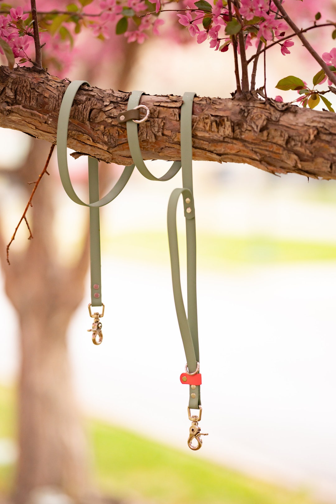 Hands Free Leash 4 in 1 Multi-purpose Leash Cross-body Leash Running ...