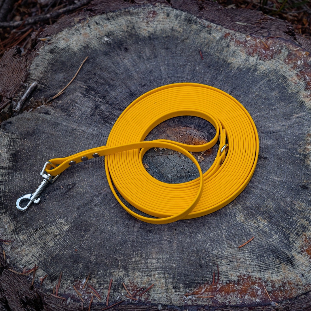 Long Line Dog Leash Dog Lead 10', 15', 20' Leash for Dog Training ...