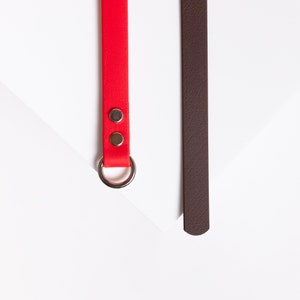 Grab Tab | Dog Training Tab | Tab for Hiking | off Leash Adventures ...