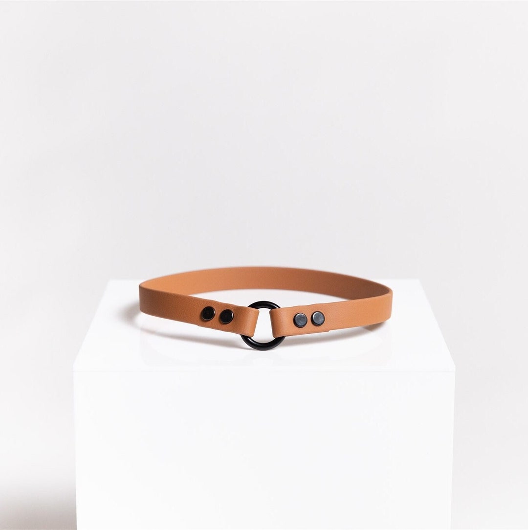 House Collar Dog Tag Collar O Ring Collar Slips on - Etsy