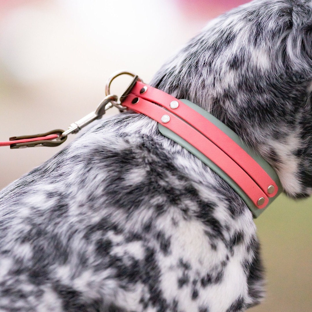1.5" Rebel Layered Collar | Customize Your Colors | Adjustable, Durable ...