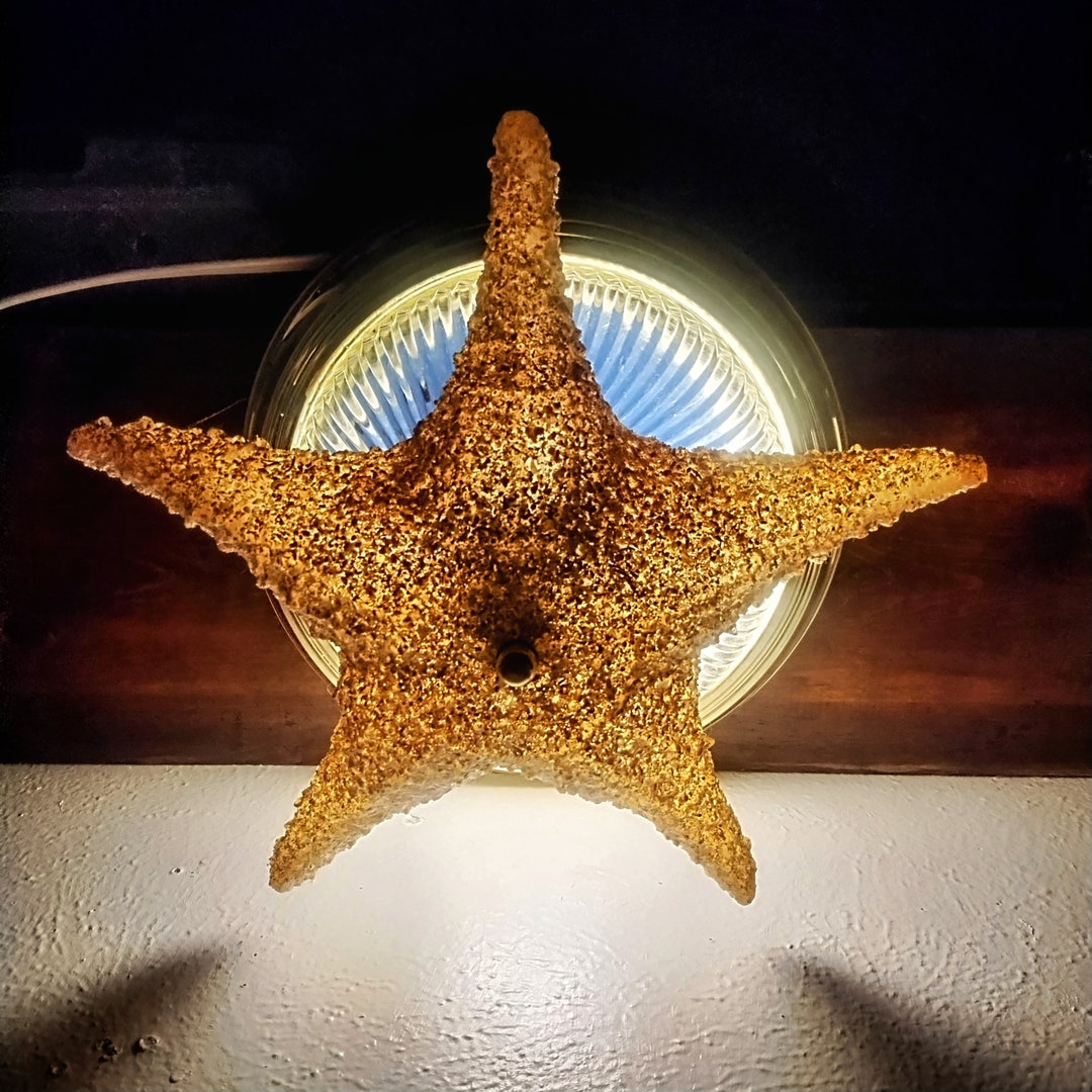 Faux Starfish Custom Light Fixture - Kid's Room Starfish Lighting ...