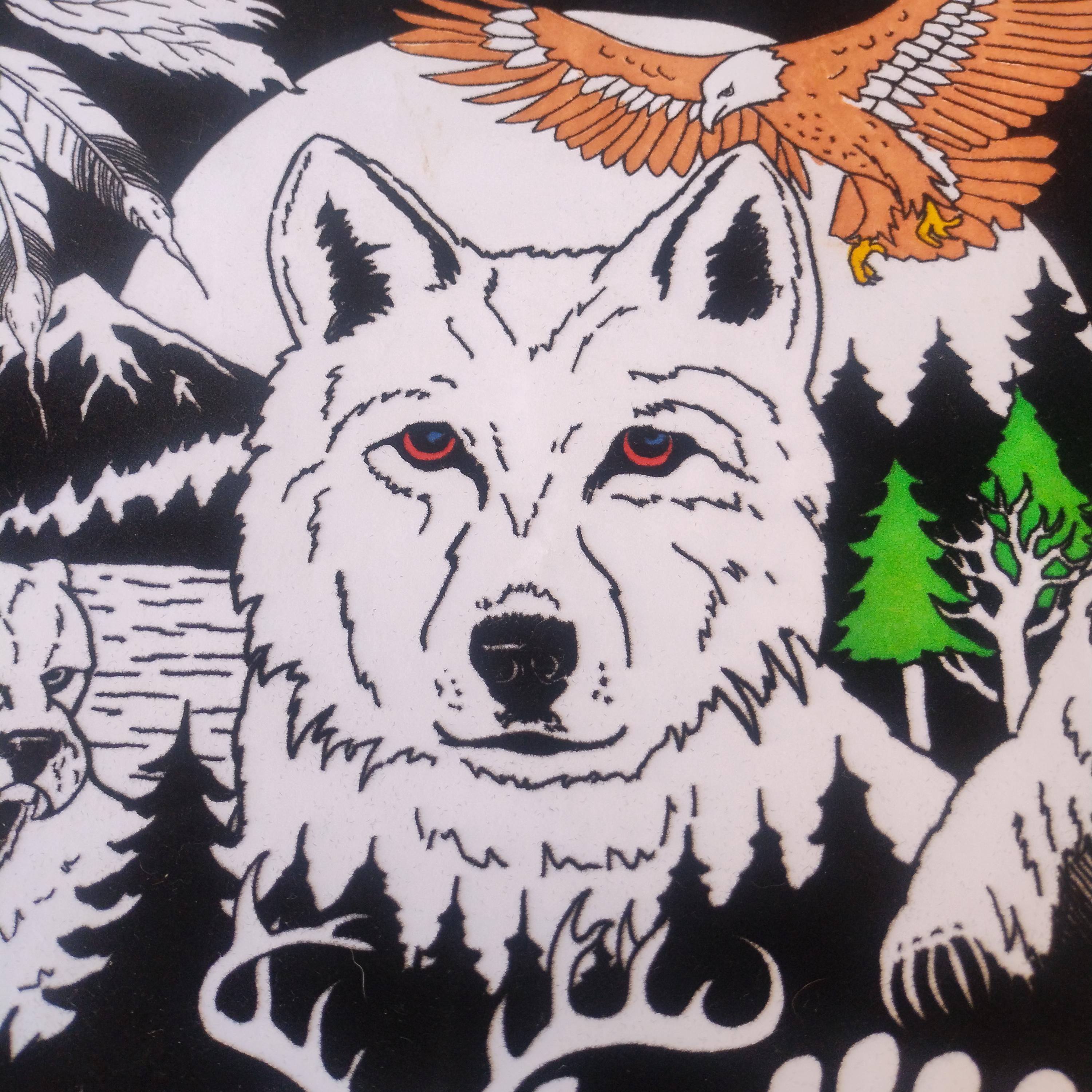 1990's Fuzzy Poster - Vintage Fuzzy Posters - Western Graphics ...