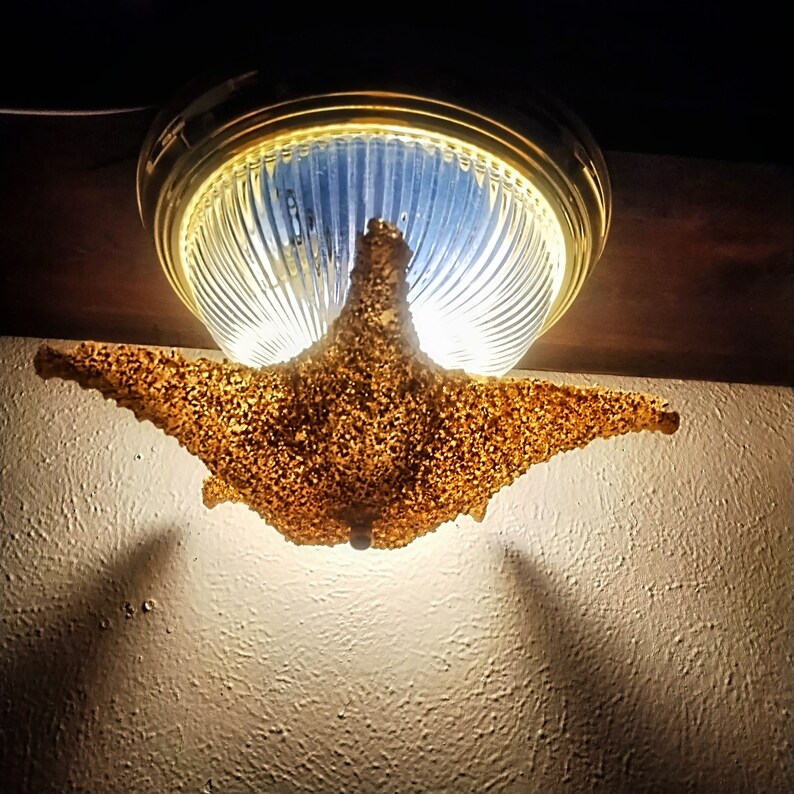 Faux Starfish Custom Light Fixture - Kid's Room Starfish Lighting ...