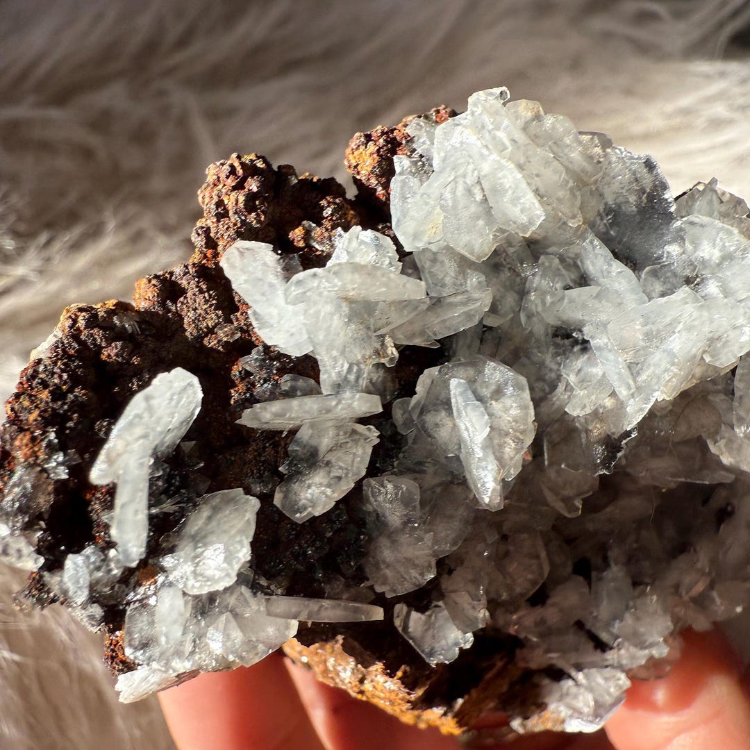 High Quality Ojuela Mine Mouse Ear Calcite Specimen on Druzy Matrix ...