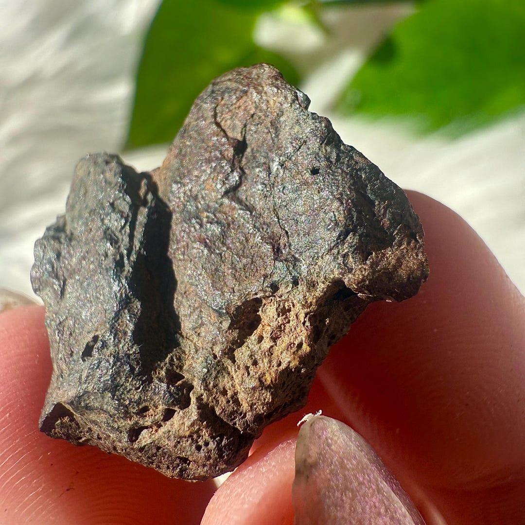 RARE Meteorite Specimen From Arizona / Iron Shale Meteorite Mini ...