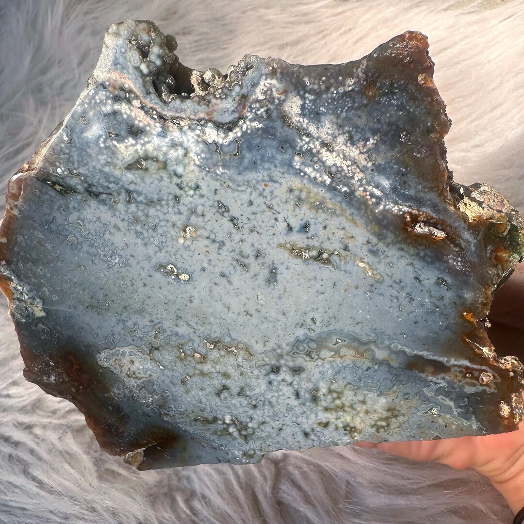 Large Colorful Orbicular Ocean Jasper Slab With Druzy & Orbs / Large ...