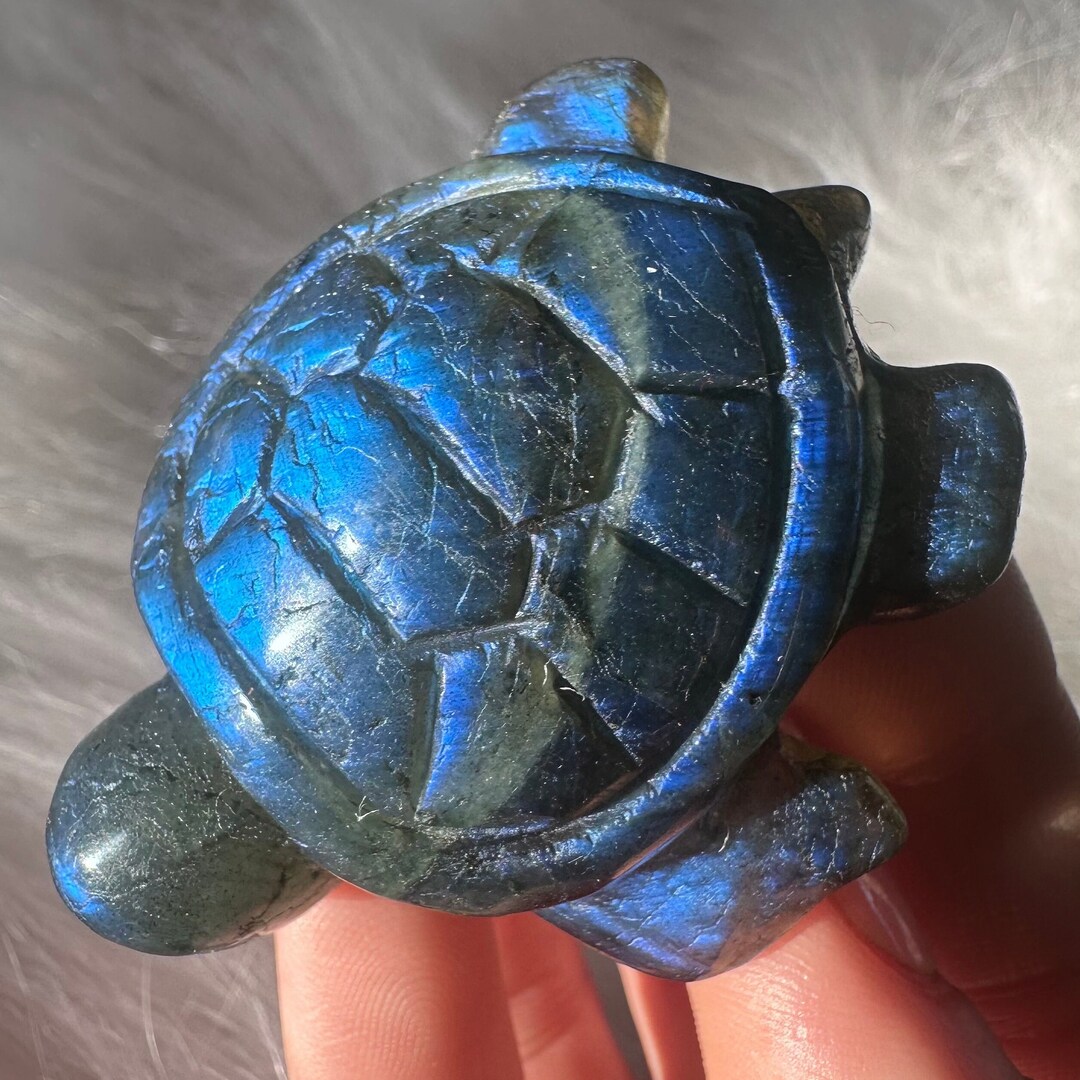 Full Flash Blue Labradorite Turtle Carving With Rainbows / Flashy ...