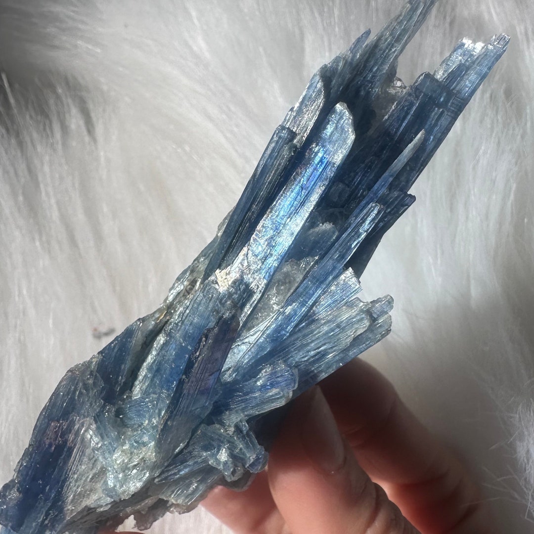 Gemmy Blue Kyanite Blades on Quartz Specimen / Flashy Raw Blue Kyanite ...