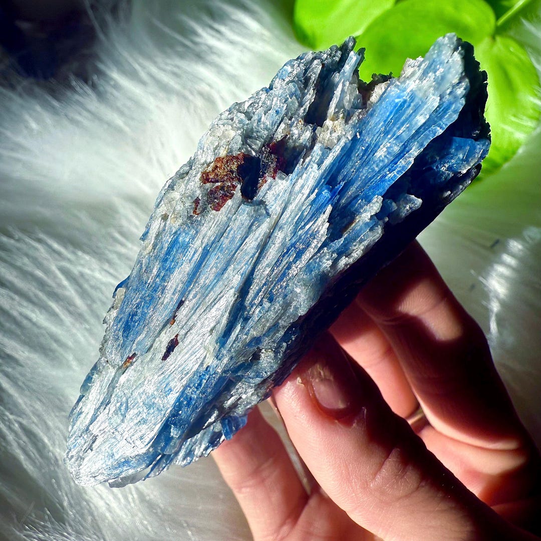 GEMMY Flashy Raw Blue Kyanite on Quartz With Garnets From Minas Gerais ...