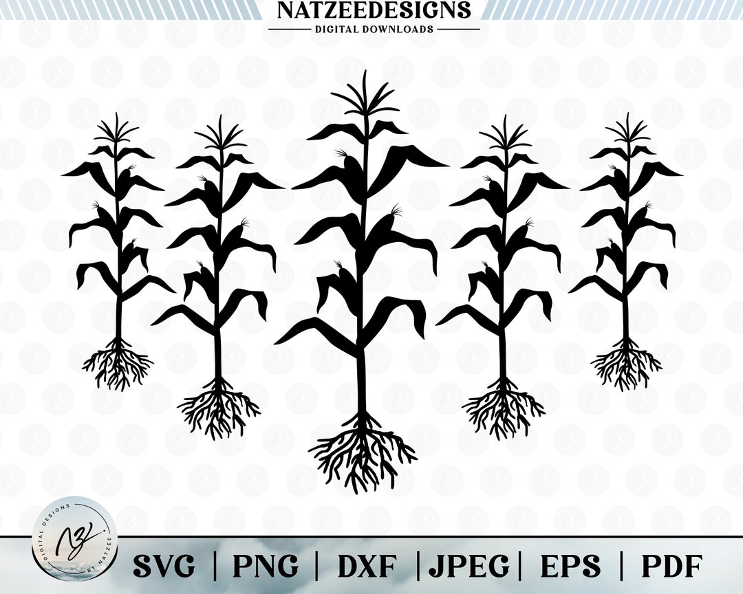 Corn Stalk SVG Bundle, Cricut Cut Files (digital Download) - Etsy