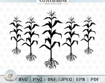 Corn Stalk. Cut Files for Cricut. Clip Art Silhouettes eps, Svg, Pdf ...