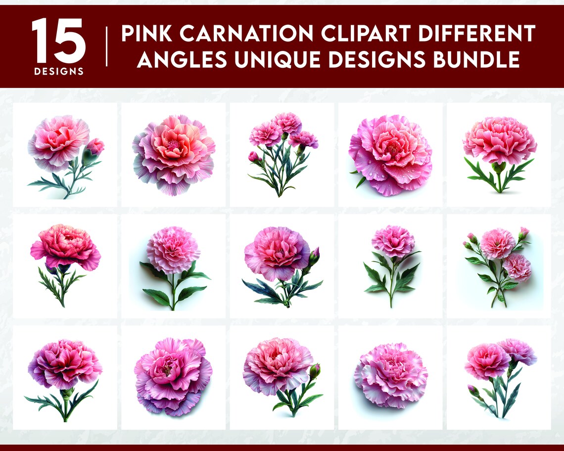 15 HD Pink Carnation Clipart, Flower Clipart, Commercial Use, Floral ...