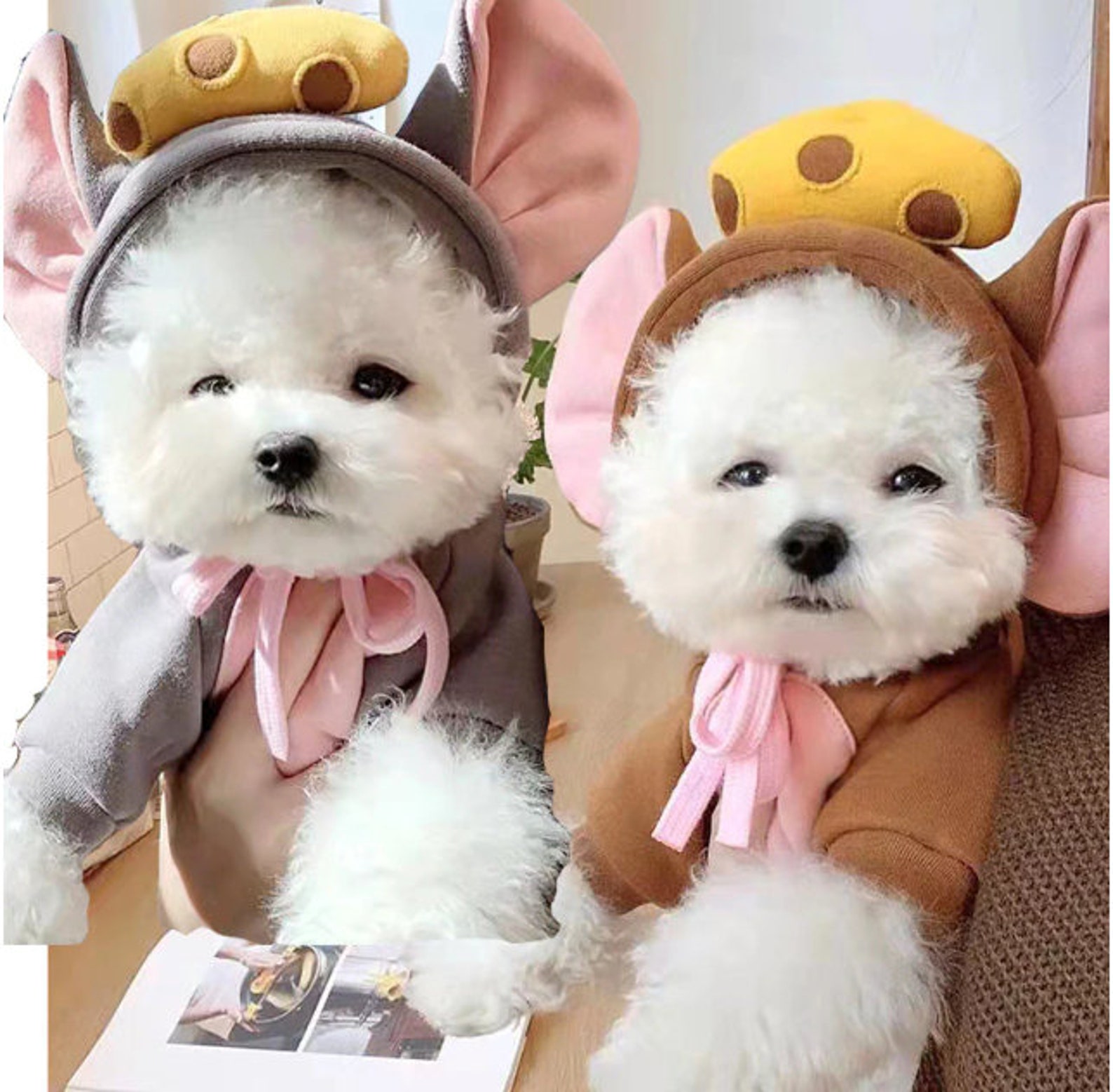 Pet Costume Dog Cat Halloween Costume Funny Pet Costumes - Etsy