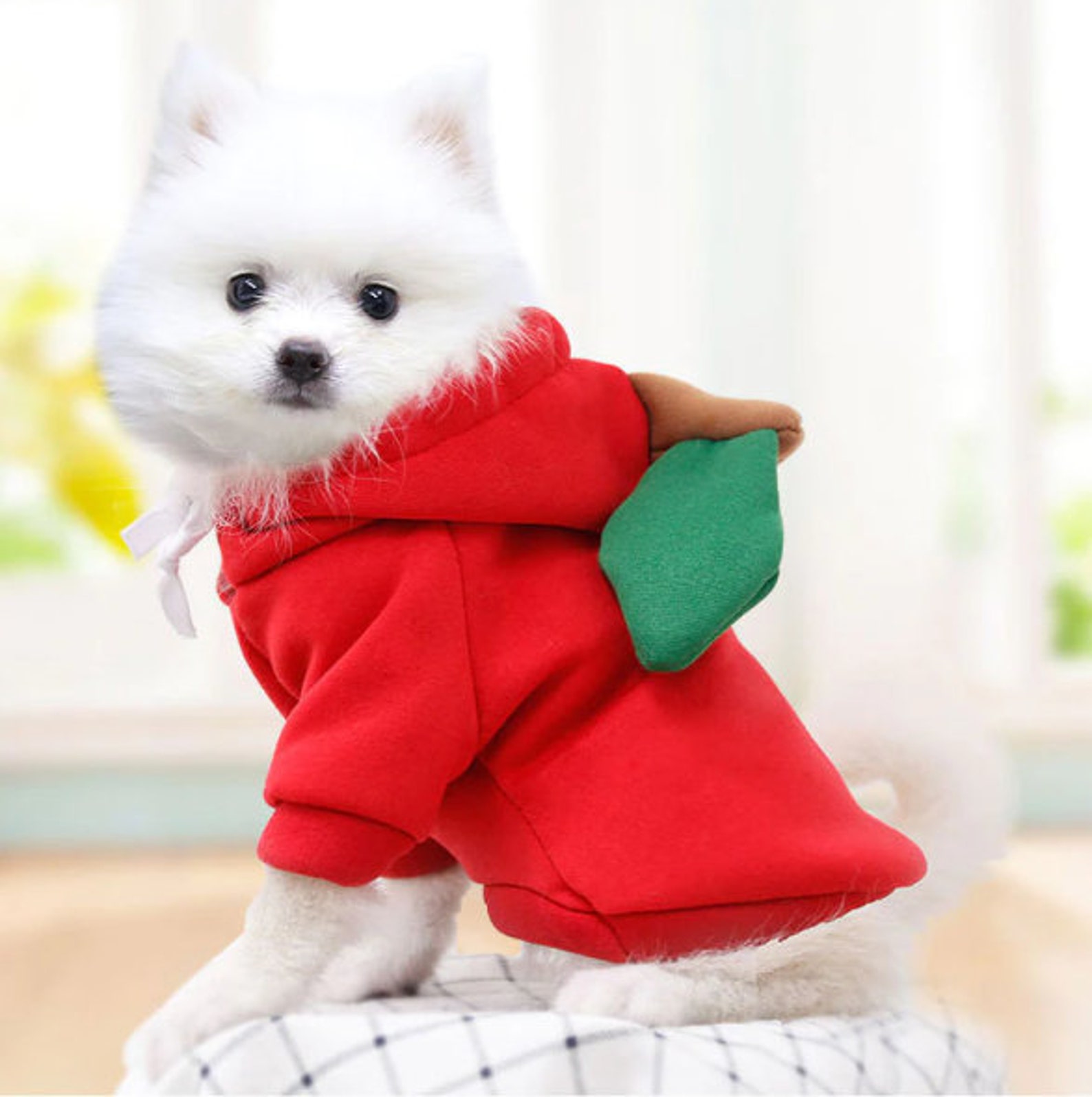 Pet Costume Dog Cat Halloween Costume Funny Pet Costumes - Etsy