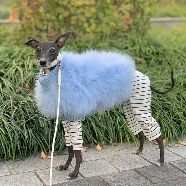 Designer Dog Clothes - Etsy