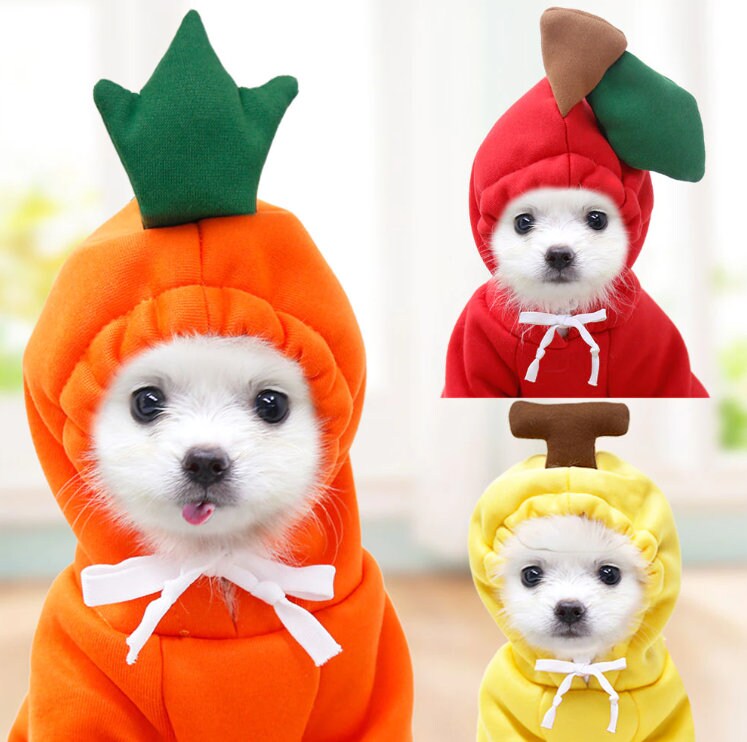 Pet Costume Dog Cat Halloween Costume Funny Pet Costumes - Etsy