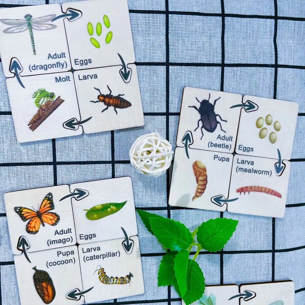 Wooden Insect Puzzles - Etsy
