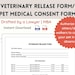 Veterinary Release Form | Pet Medical Consent Legal Template | Pet ...