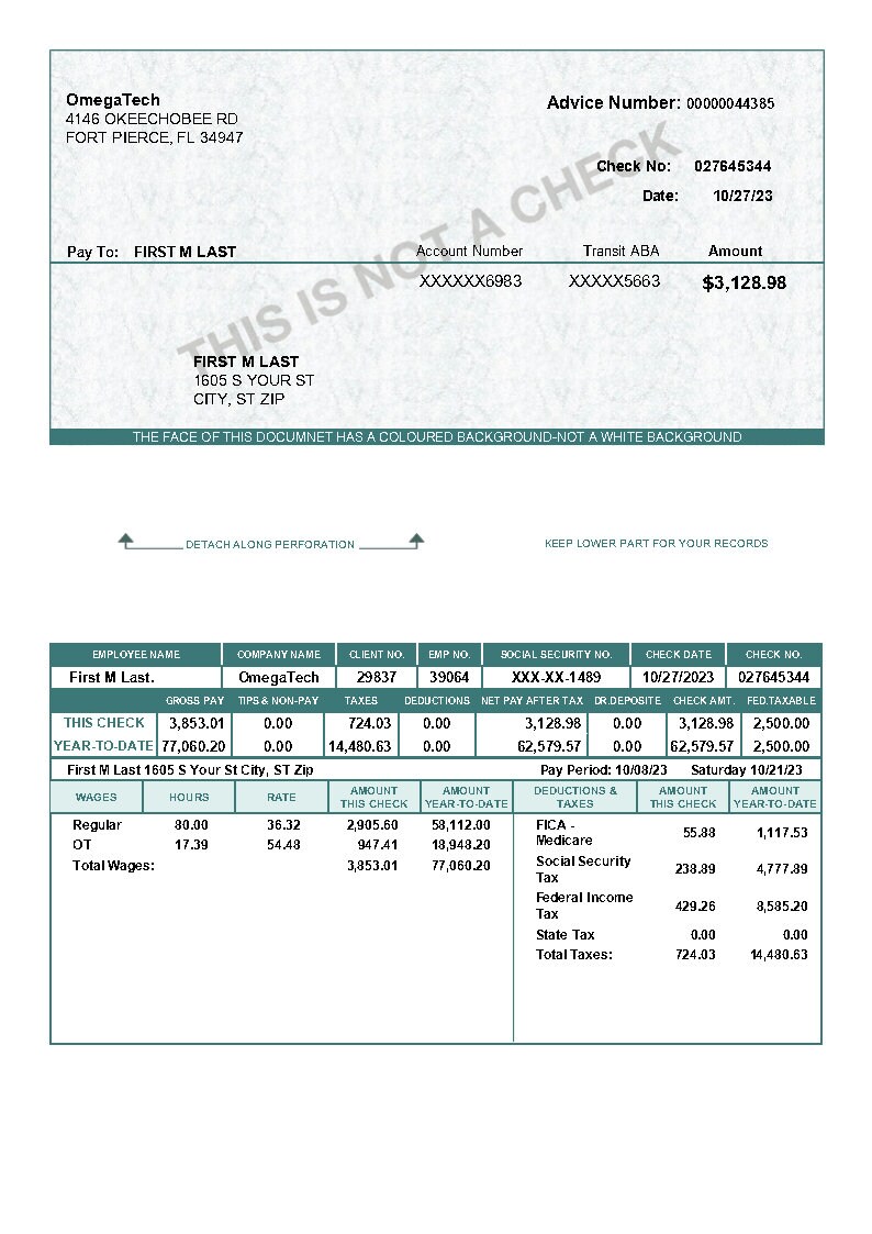 Editable Paycheck/paystub Templates for Business Owners & Contractors ...