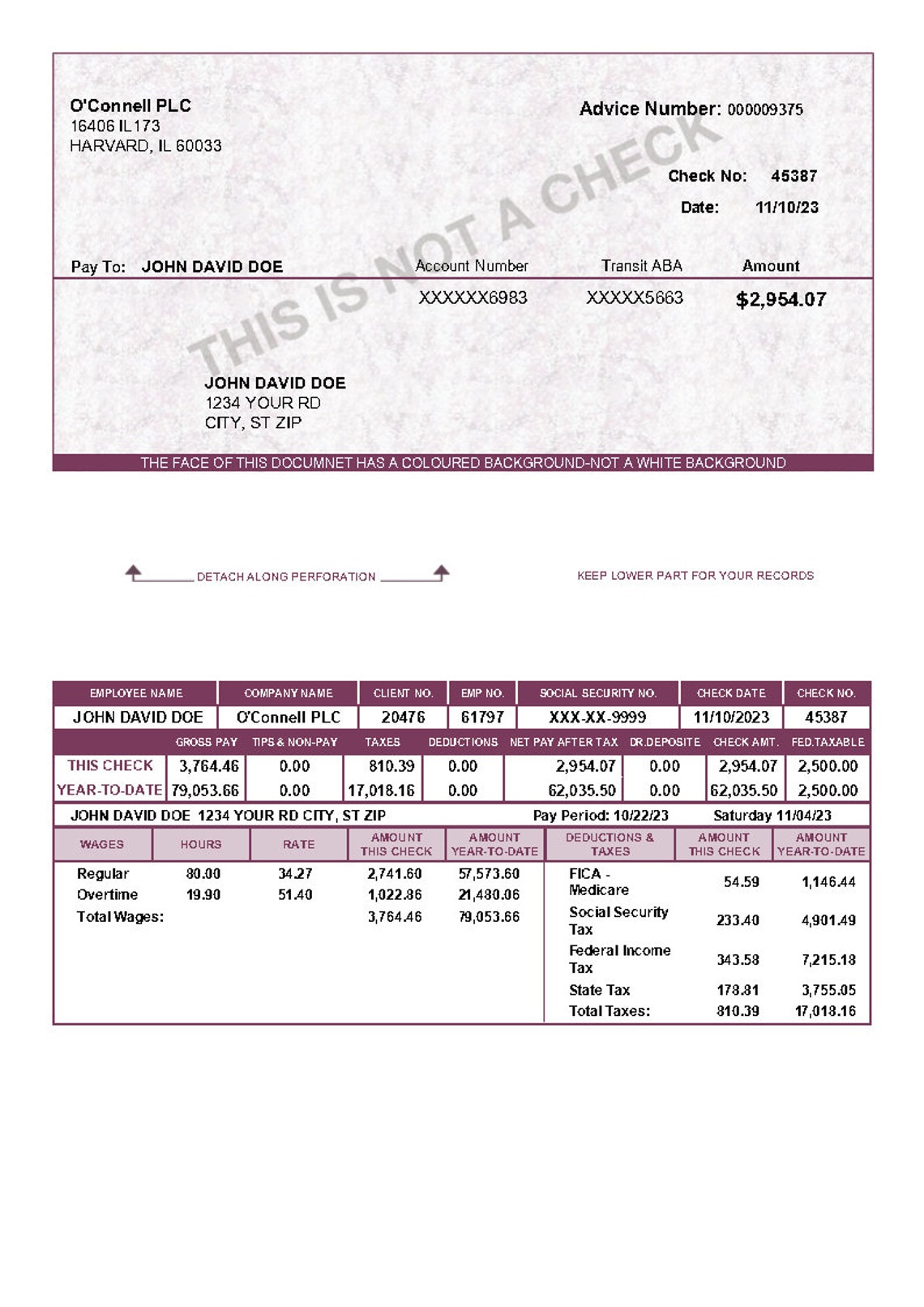 Editable Paycheck/paystub Templates for Business Owners & Contractors ...