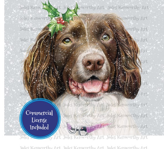 Christmas Springer Spaniel Sublimation Artwork Christmas - Etsy