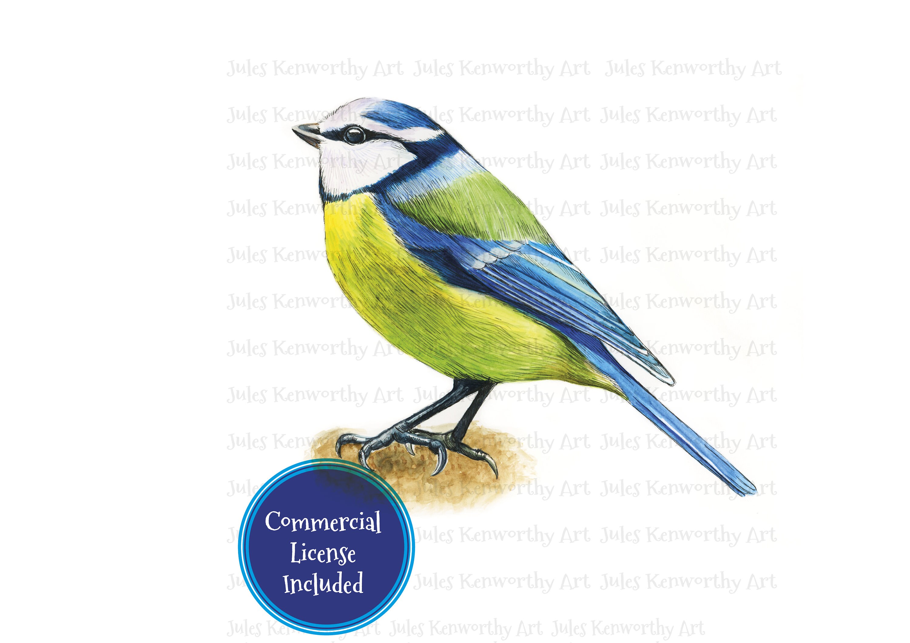 Bluetit Clipart People