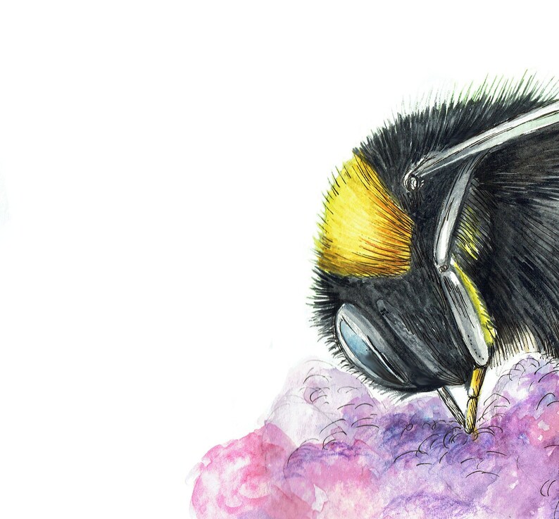 Bumblebee Sublimation Artwork Bee Illustration for | Etsy