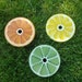Painted CD Art Fruit Collection - Etsy