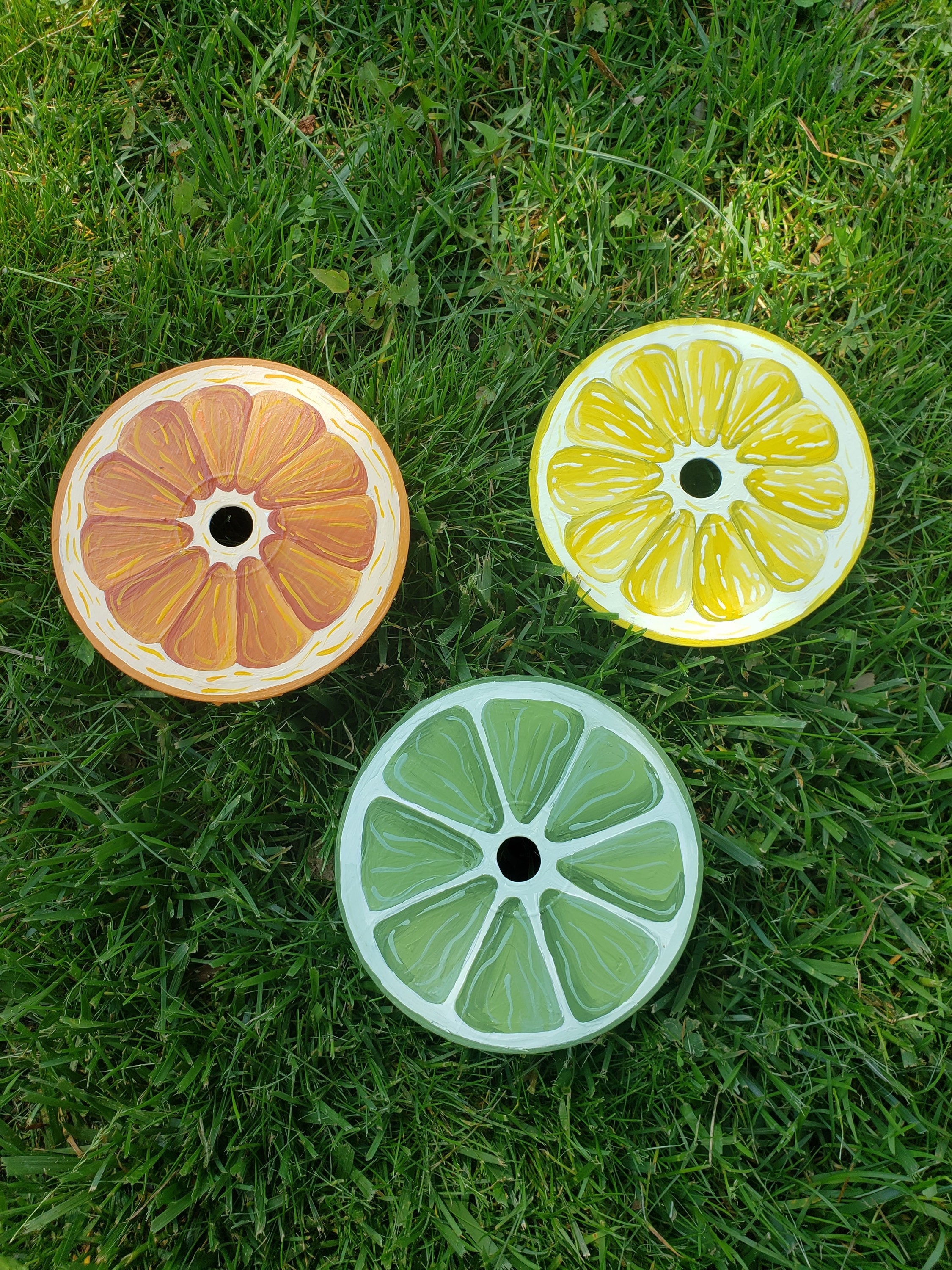 Painted CD Art Fruit Collection | Etsy