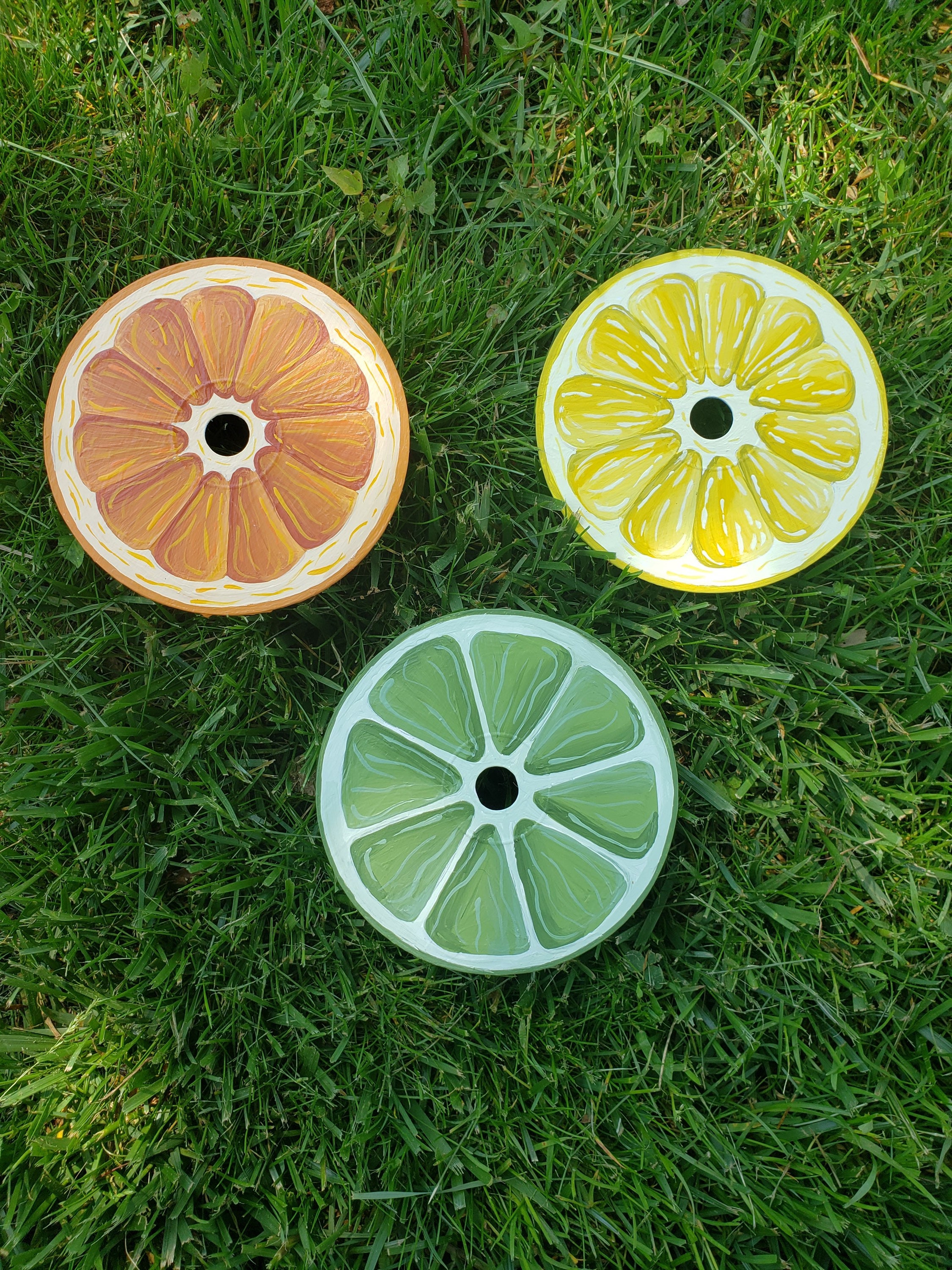 Painted CD Art Fruit Collection | Etsy