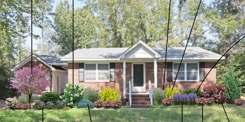 Full Sun Front Garden Digital Design - Etsy