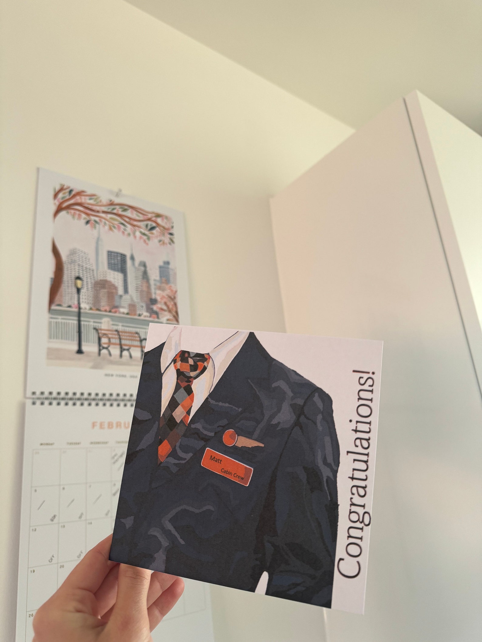 Easyjet New Entrant Cabin Crew Flight Attendant Pilot Male Uniform ...
